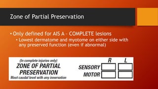 Neurological assessment for asia chart | PPTX | Death, Injury, or ...