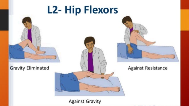Neurological assessment for asia chart
