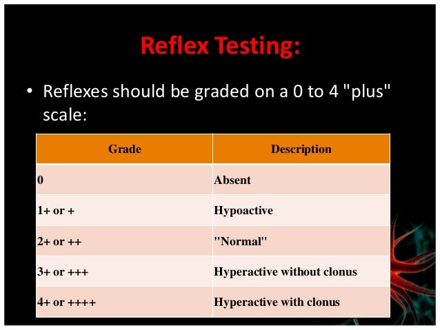 Neurological assessment ppt