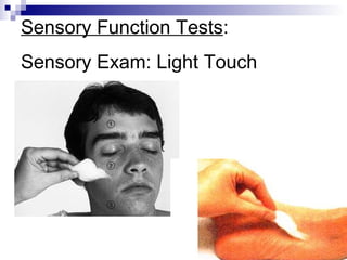 Neurological assessment sp07 webversion | PPT