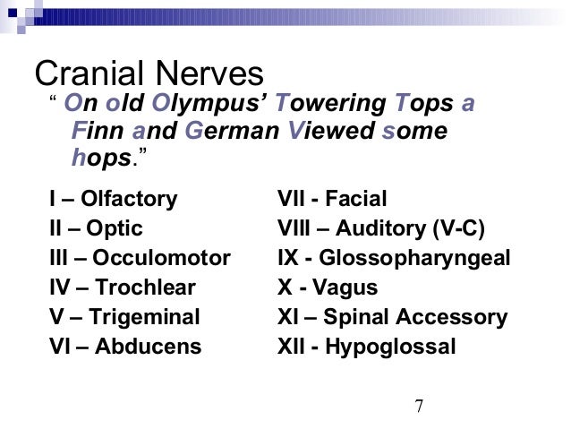 Neurological assessment sp07 webversion