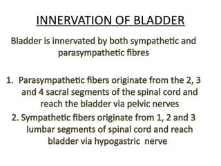 NEUROLOGICAL_BASIS_OF_AUTOMATIC_BLADDER_AND_SUPRAPUBIC_CYSTOSTOMY (1)-1 ...