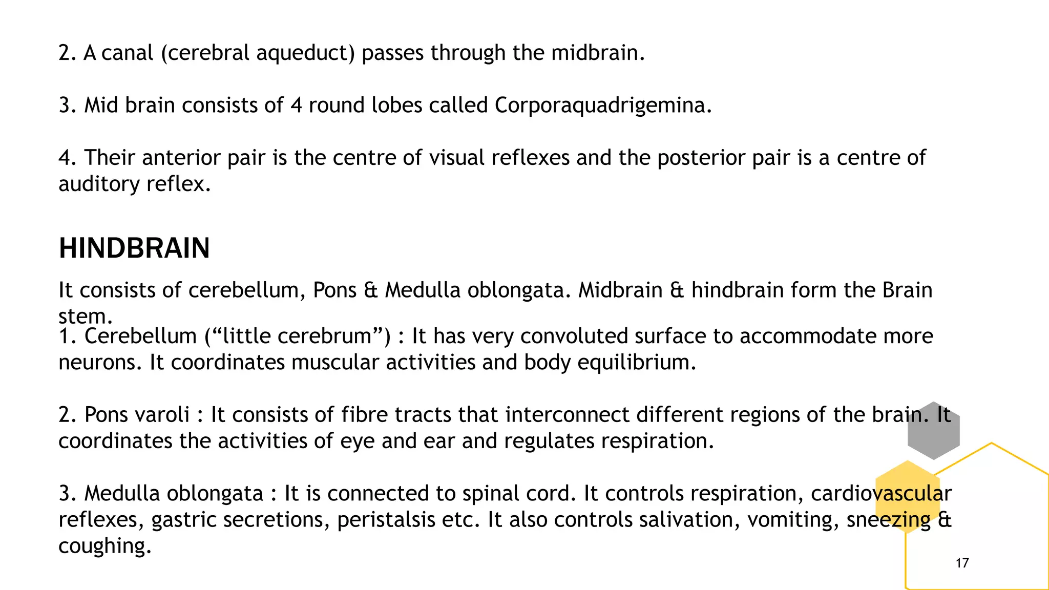 Neurological Basis Of Behavior Presentation.pptx