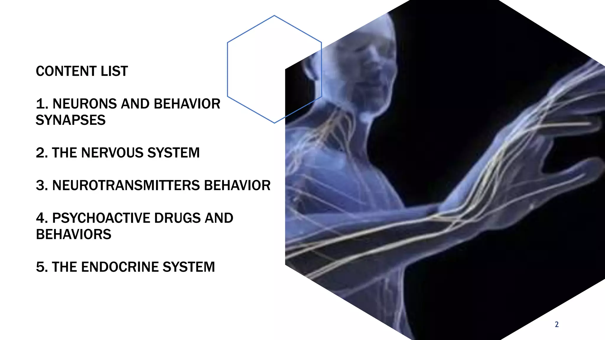Neurological Basis Of Behavior Presentation.pptx