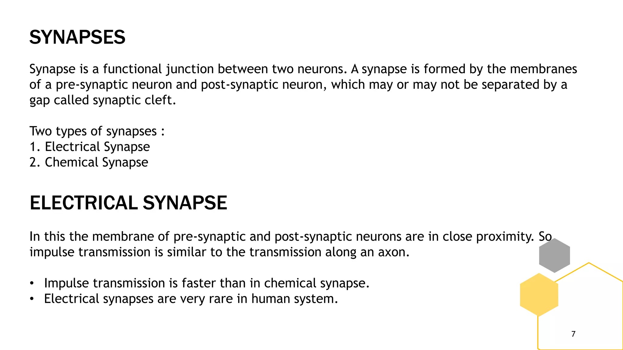 Neurological Basis Of Behavior Presentation.pptx