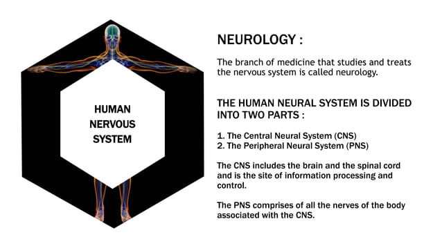 Neurological Basis Of Behavior Presentation.pptx