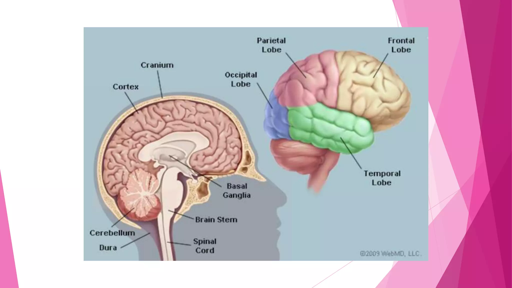 Neurological diseases 1 with Psychiatric disorders | PPT