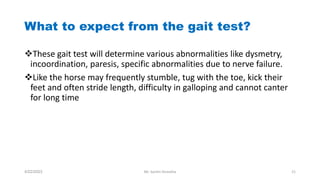 Neurological Evaluation in Horse.pptx