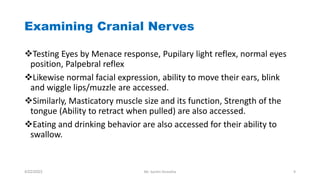 Neurological Evaluation in Horse.pptx