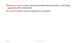 Neurological Evaluation in Horse.pptx