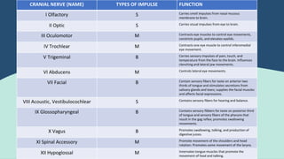Neurological Exam.pptx