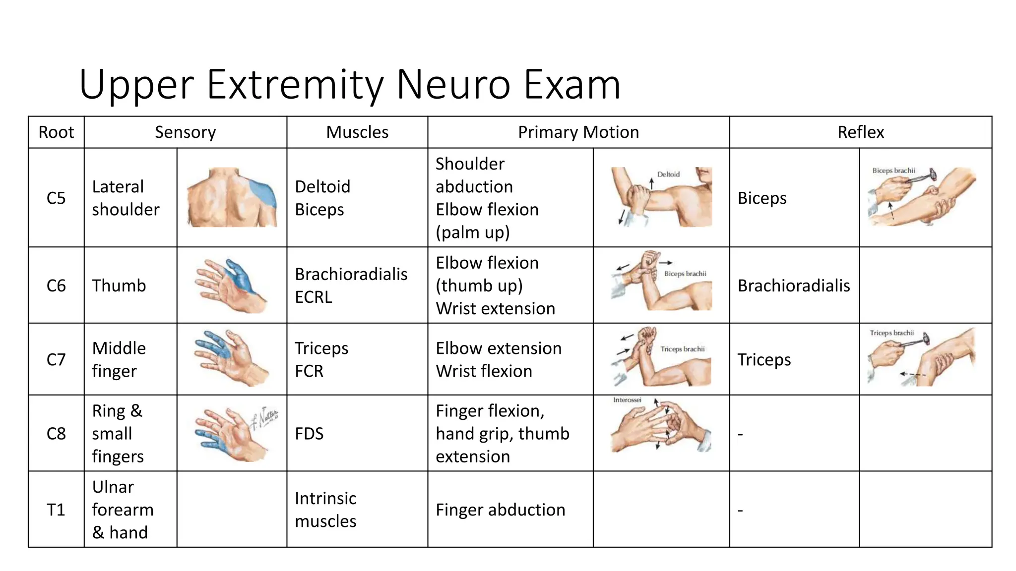 NEUROLOGICAL EXAM.pptx