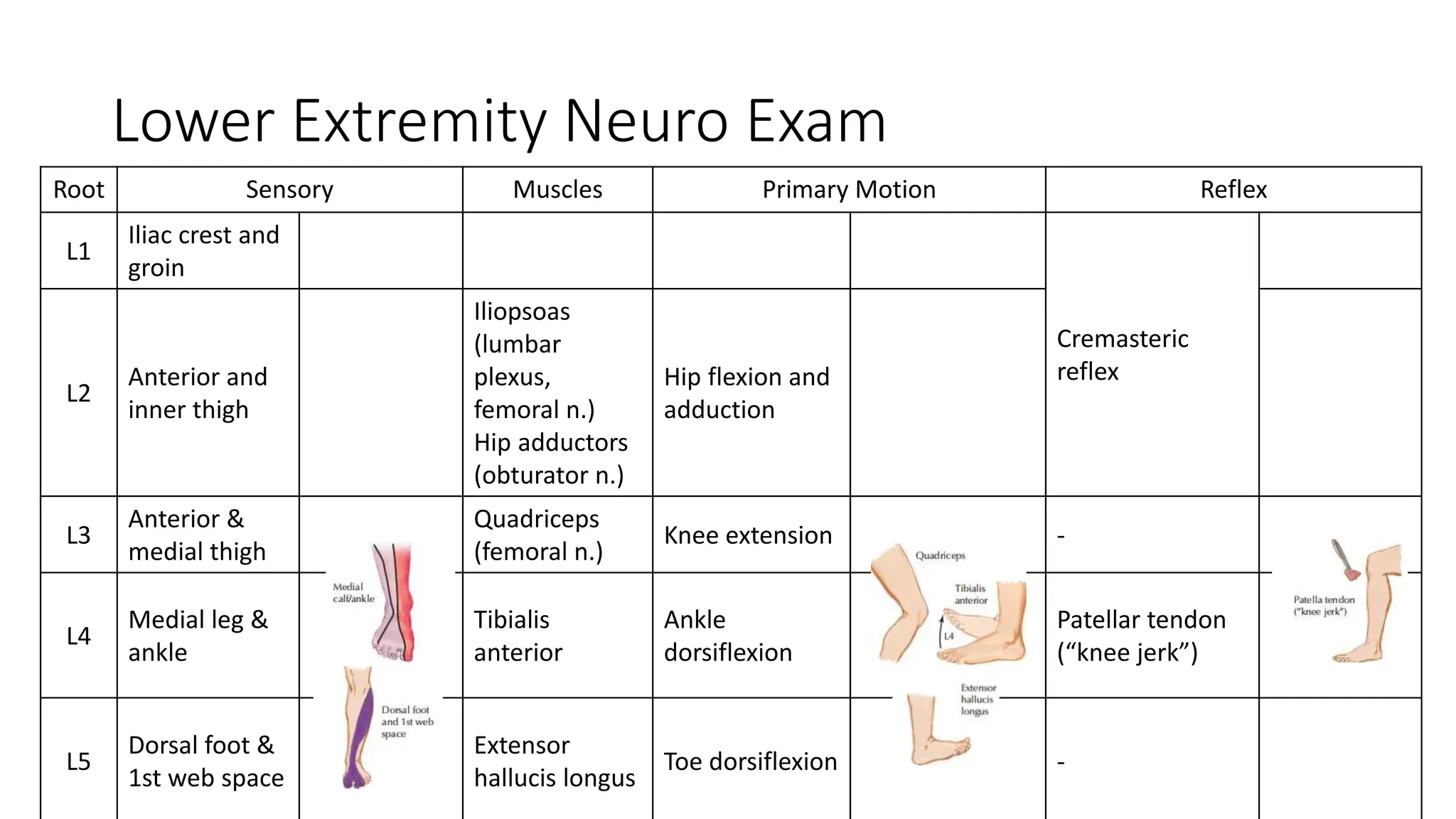 NEUROLOGICAL EXAM.pptx