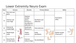 NEUROLOGICAL EXAM.pptx