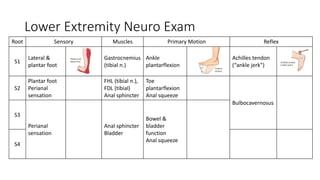 NEUROLOGICAL EXAM.pptx