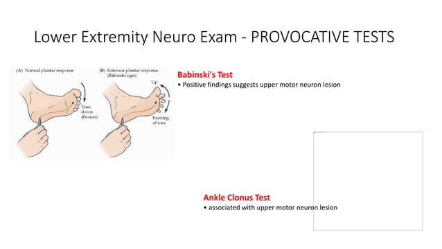 NEUROLOGICAL EXAM.pptx | Death, Injury, or Military Conflict ...