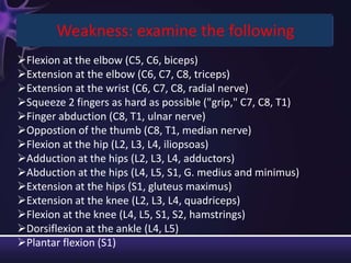 Neurological examination | PPTX