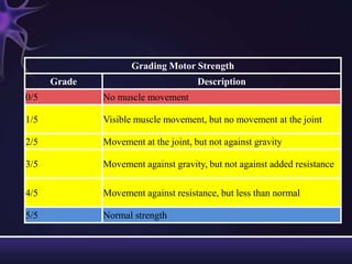 Neurological examination | PPTX