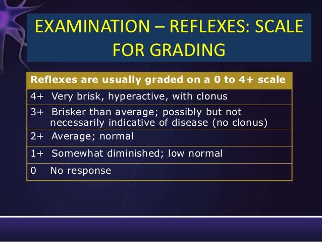 Neurological Examination