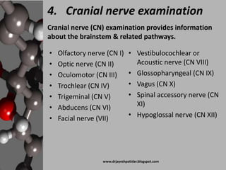 Neurological examination | PPSX