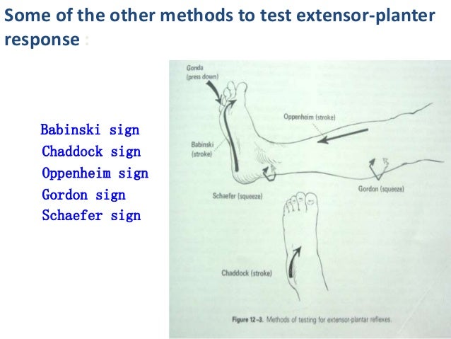 Neurological examination