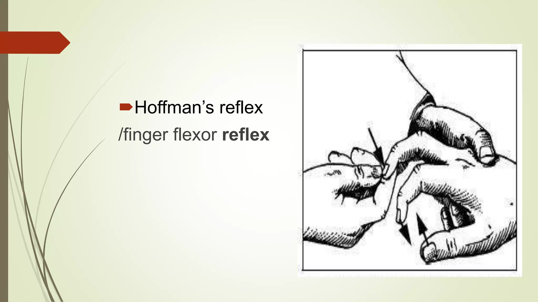 Neurological examination