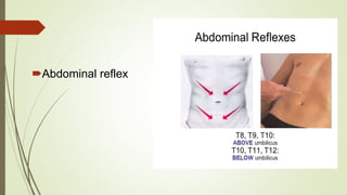 Neurological examination | PPTX