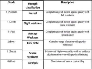 Neurological Examination | PPTX