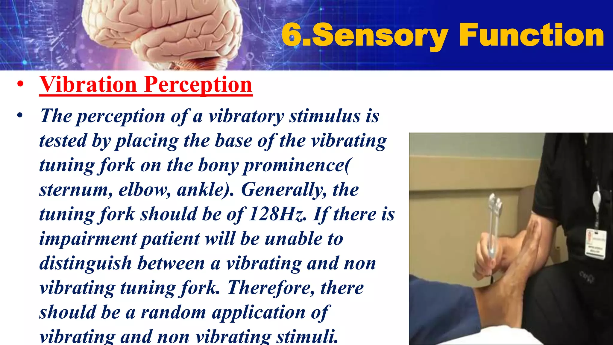 Neurological examination | PPTX