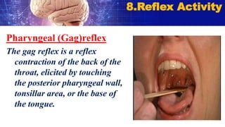 Gag Reflex Test