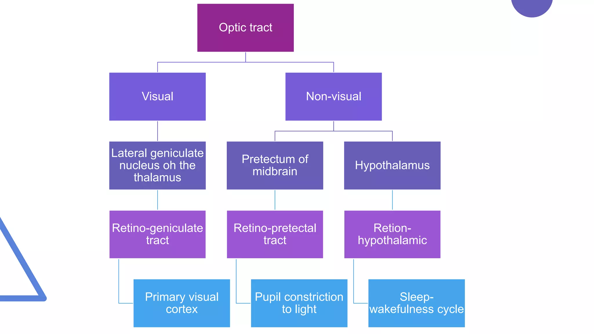 Neurological examination lec 1 vision and ocular system | PPTX