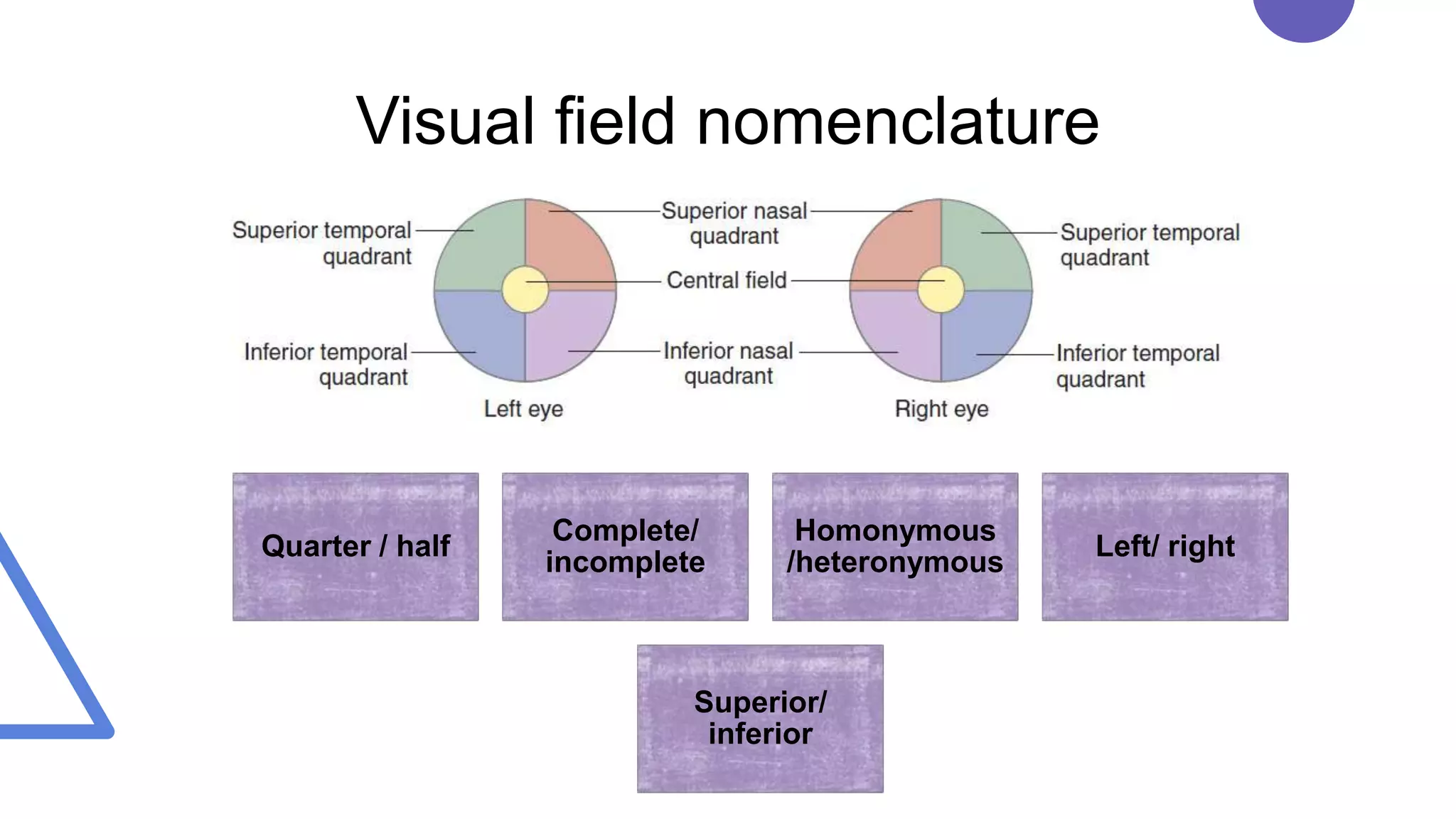 Neurological examination lec 1 vision and ocular system | PPTX