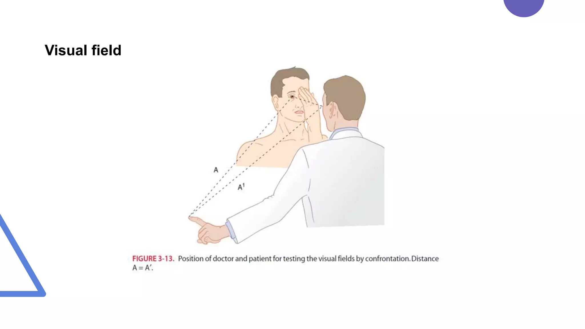 Neurological examination lec 1 vision and ocular system | PPTX