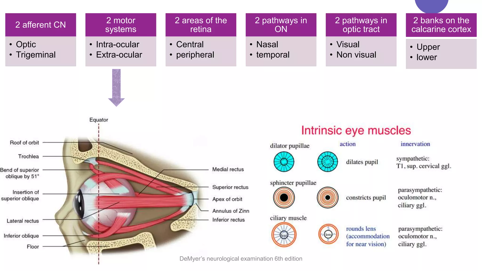 Neurological examination lec 1 vision and ocular system | PPTX