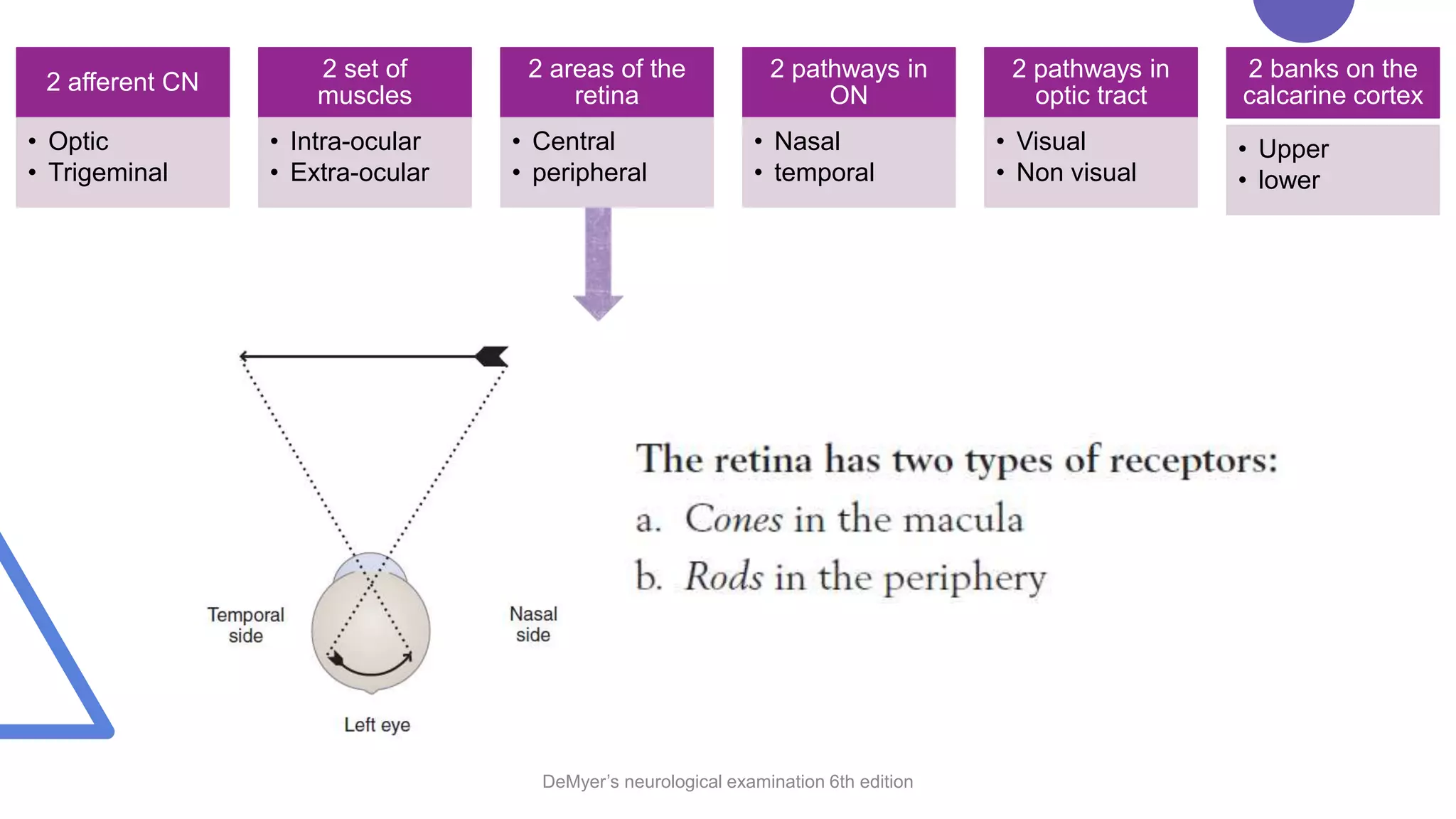 Neurological examination lec 1 vision and ocular system | PPTX