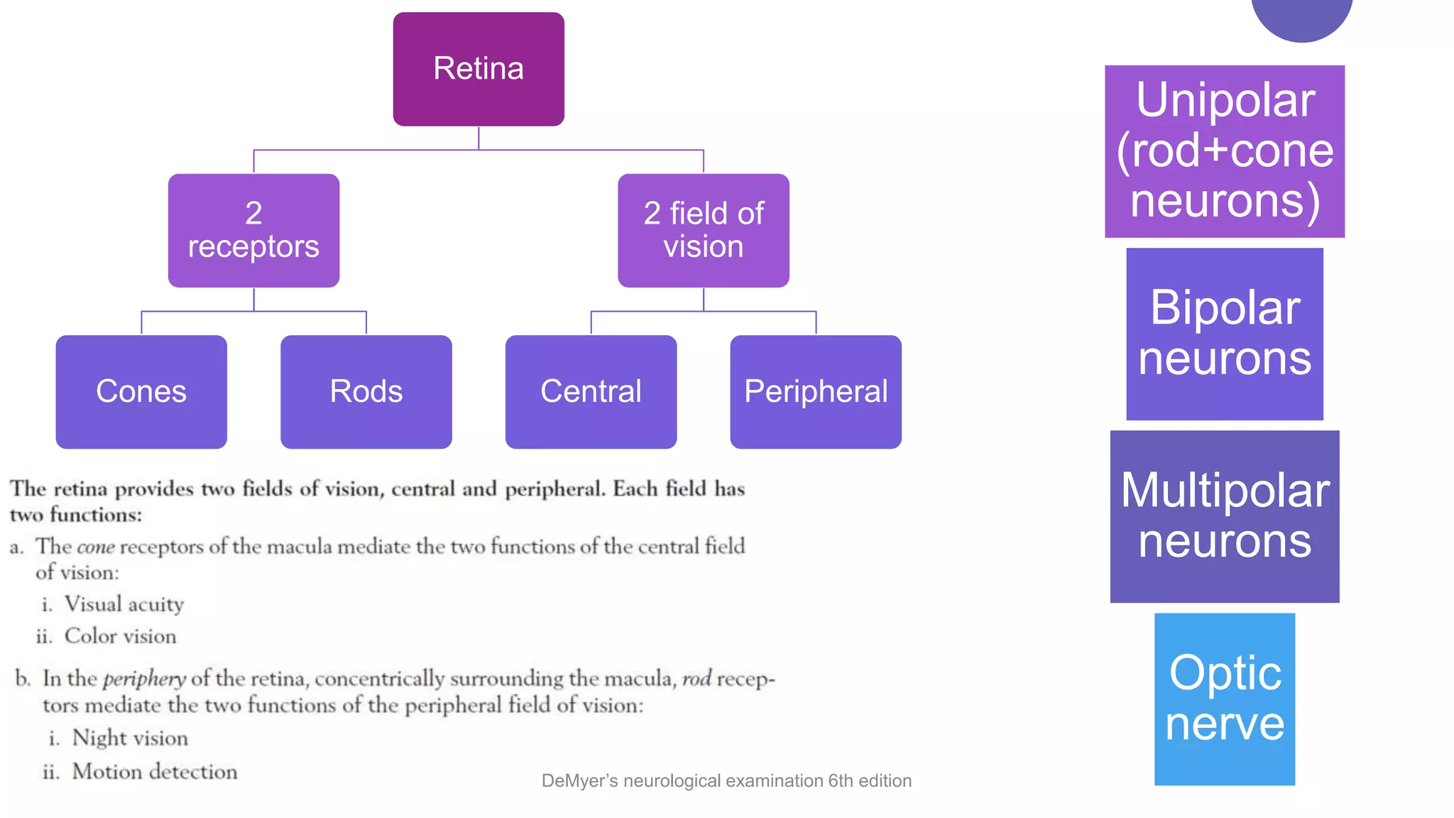Neurological examination lec 1 vision and ocular system | PPTX