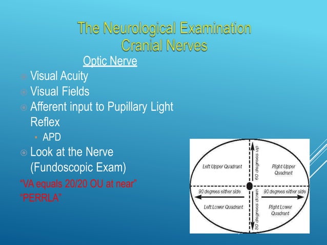 NEUROLOGICAL examination.ppt