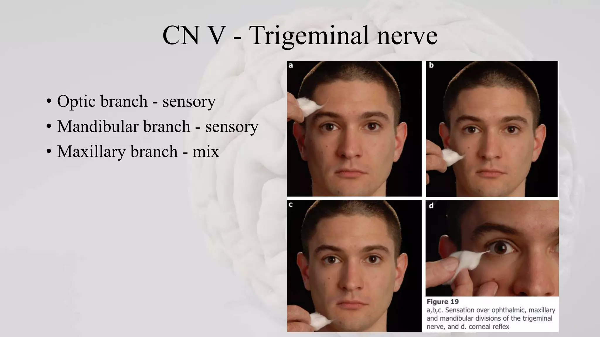 NEUROLOGICAL EXAMINATION.pptx
