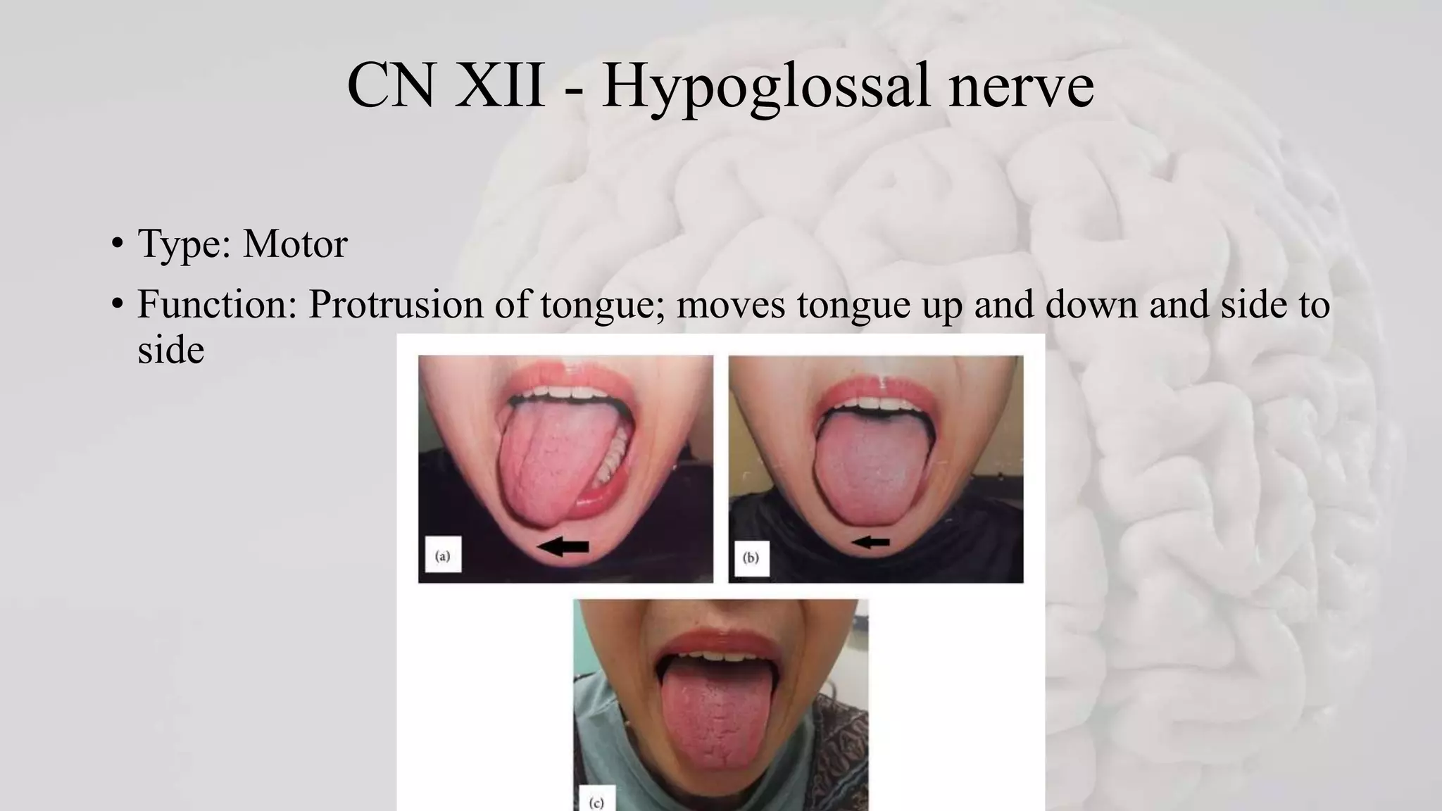 NEUROLOGICAL EXAMINATION.pptx