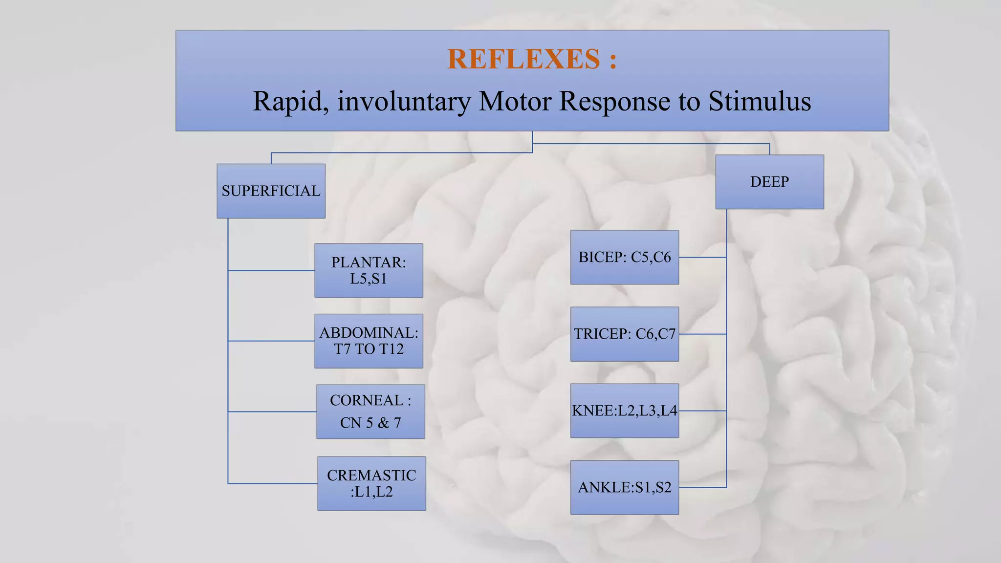 NEUROLOGICAL EXAMINATION.pptx