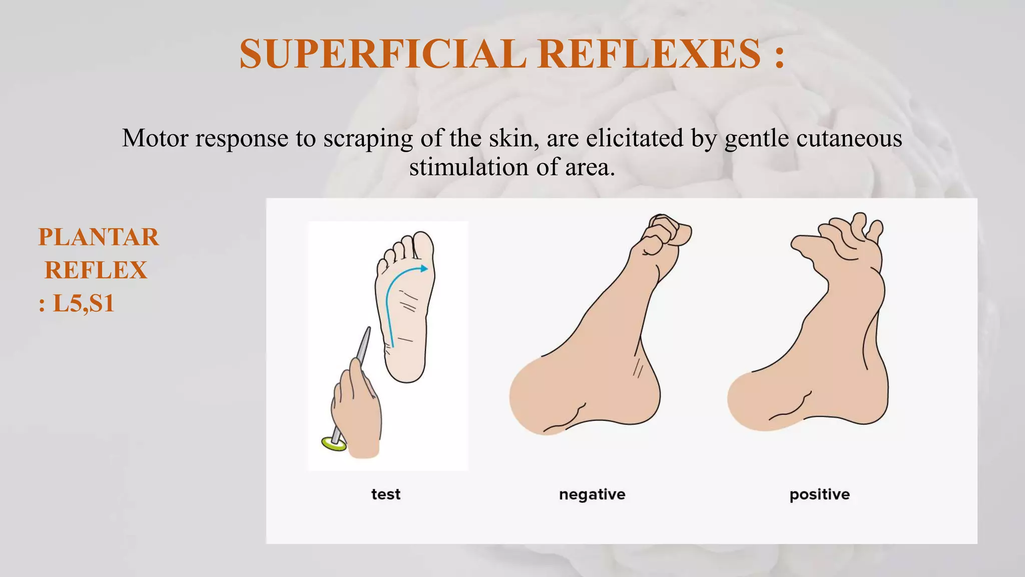 NEUROLOGICAL EXAMINATION.pptx