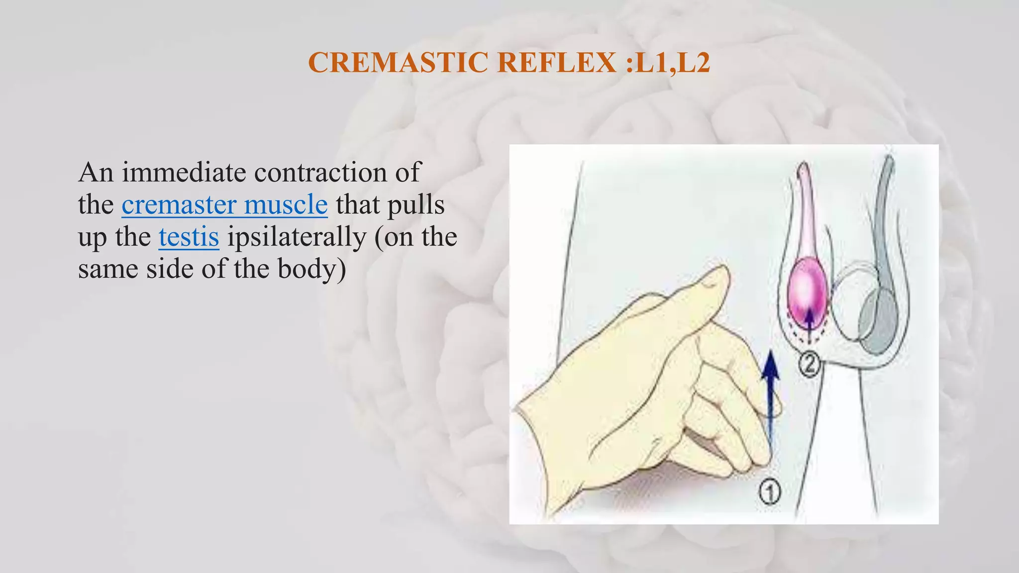 NEUROLOGICAL EXAMINATION.pptx