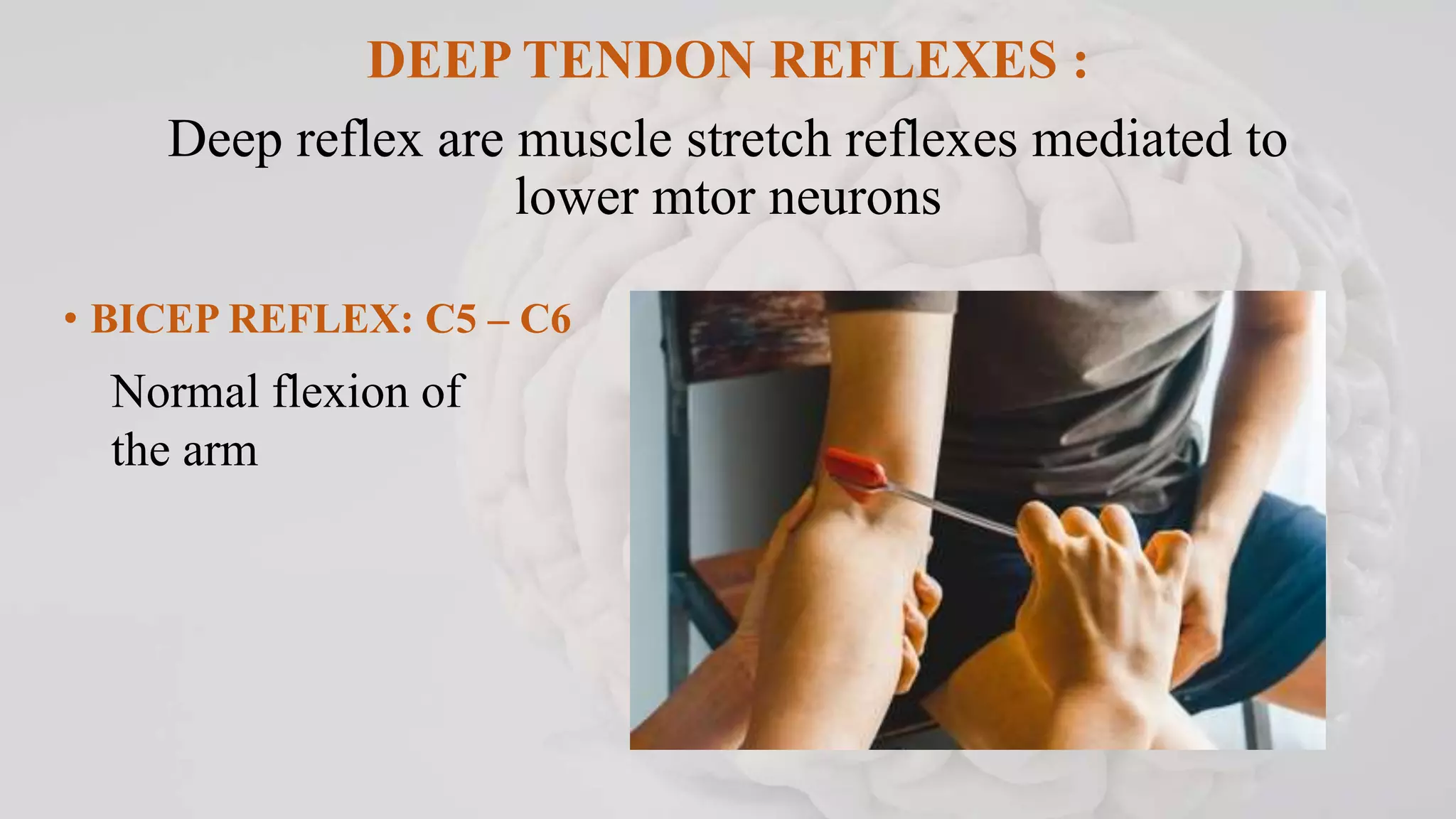 NEUROLOGICAL EXAMINATION.pptx