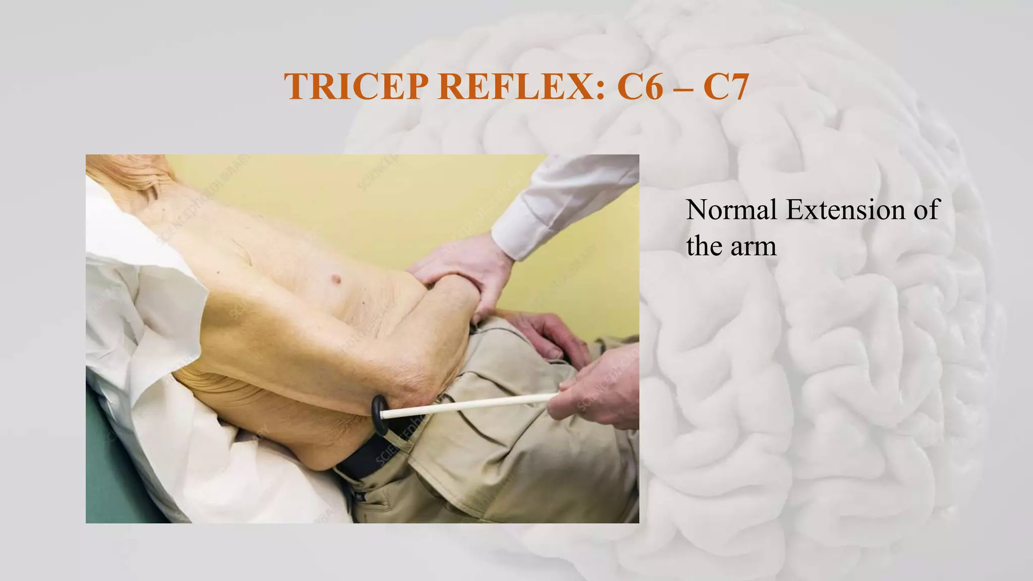 NEUROLOGICAL EXAMINATION.pptx