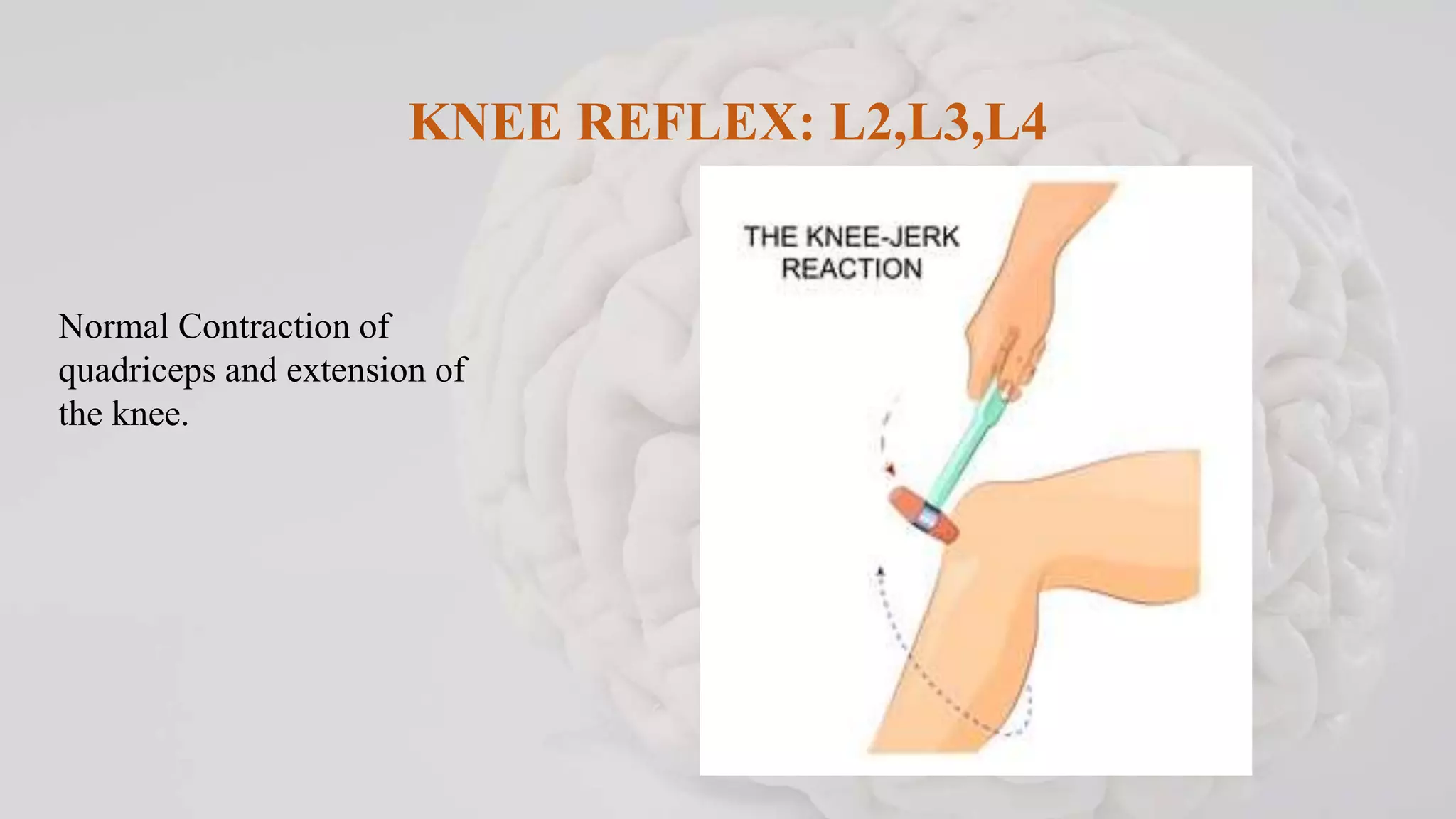 NEUROLOGICAL EXAMINATION.pptx