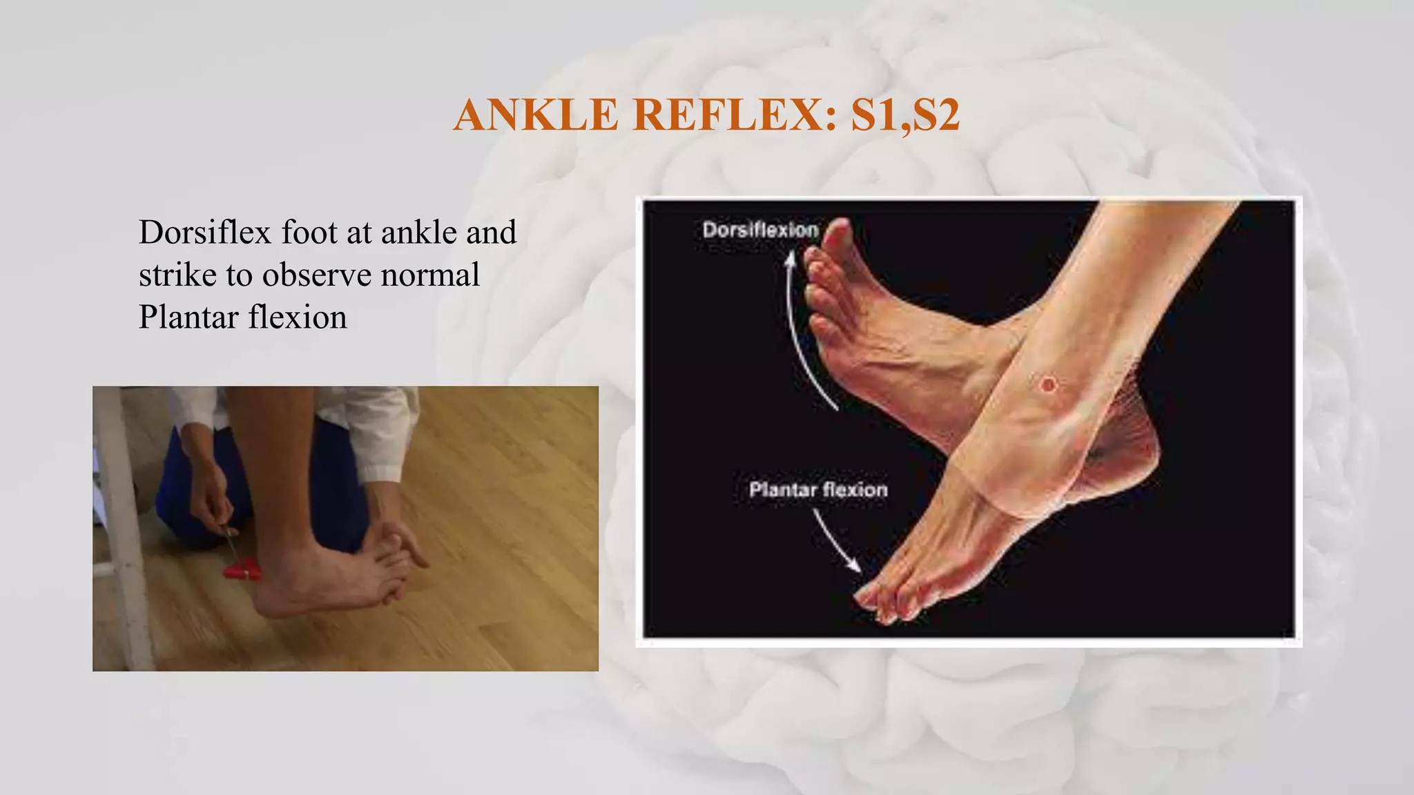 NEUROLOGICAL EXAMINATION.pptx