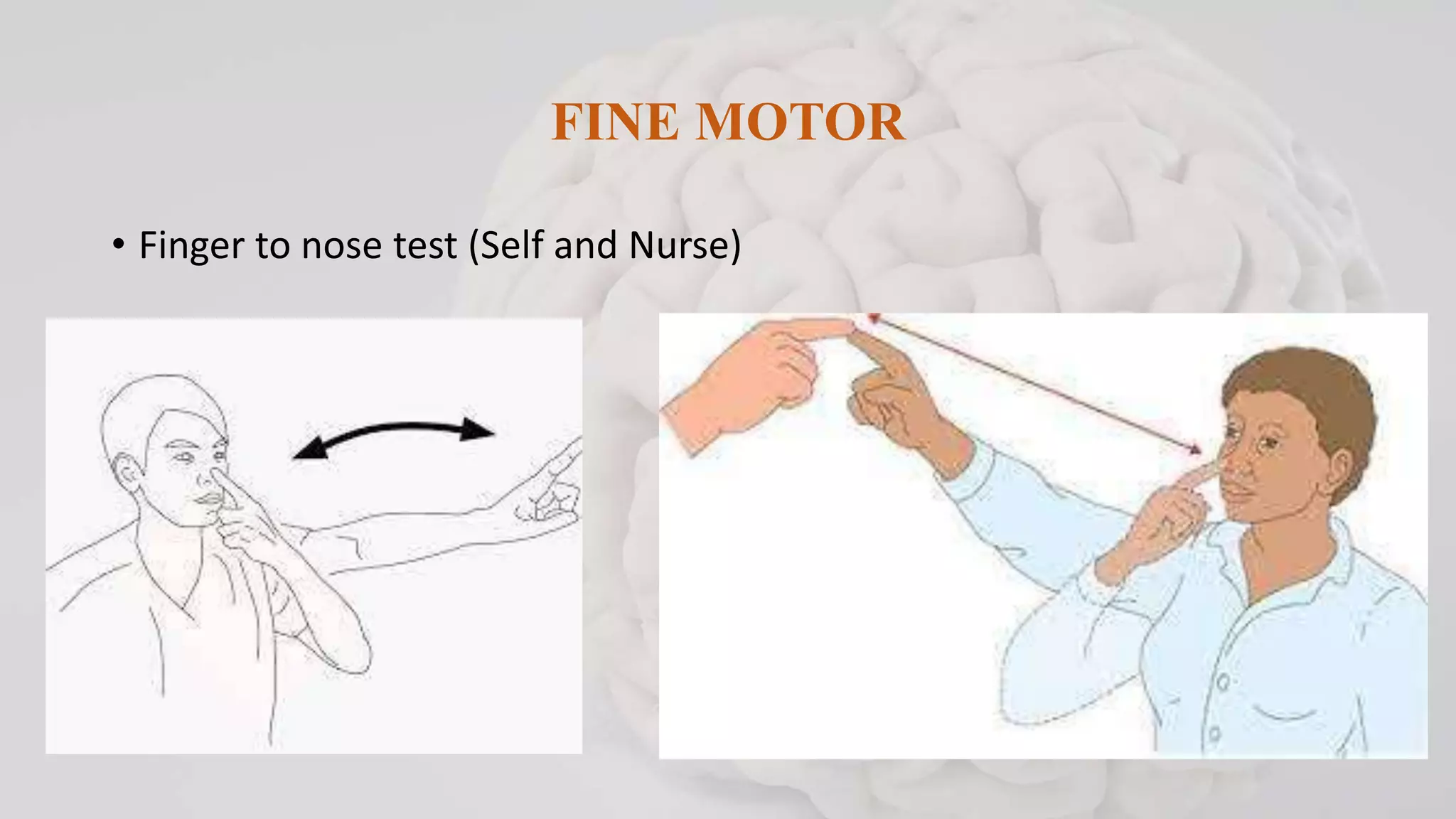 NEUROLOGICAL EXAMINATION.pptx