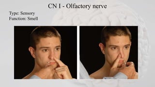 NEUROLOGICAL EXAMINATION.pptx