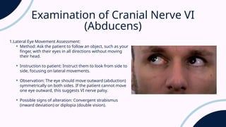 Neurological Examination/ Examinación neurologica | PPT | Free Download