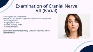 Neurological Examination/ Examinación neurologica | PPT | Free Download